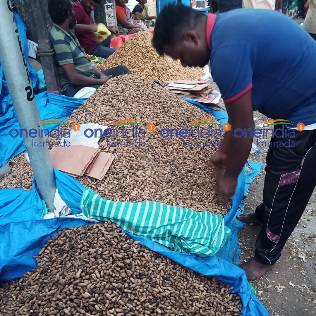 ಬಸವನ ಗುಡಿಯಲ್ಲಿ ಕಡಲೆಕಾಯಿ ಪರಿಷೆ; ಗಮನ ಸೆಳೆದ ಕಡಲೆಕಾಯಿ ವಿವಿಧ ತಳಿಗಳು | Basavanagudi Kadlekai Parishe ...