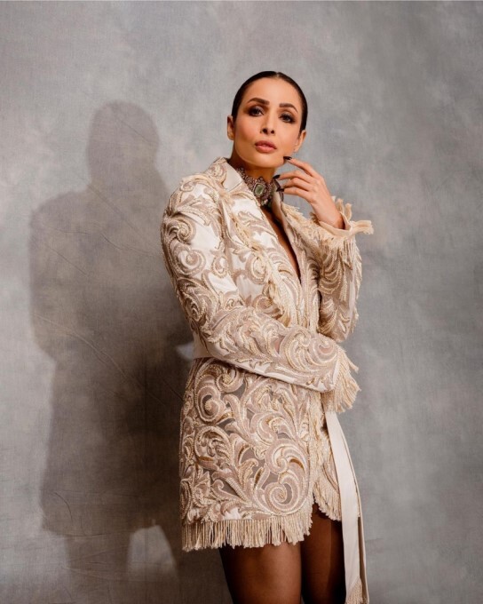 Check Out Actress Malaika Arora Latest Photoshoot Photos: HD Images ...