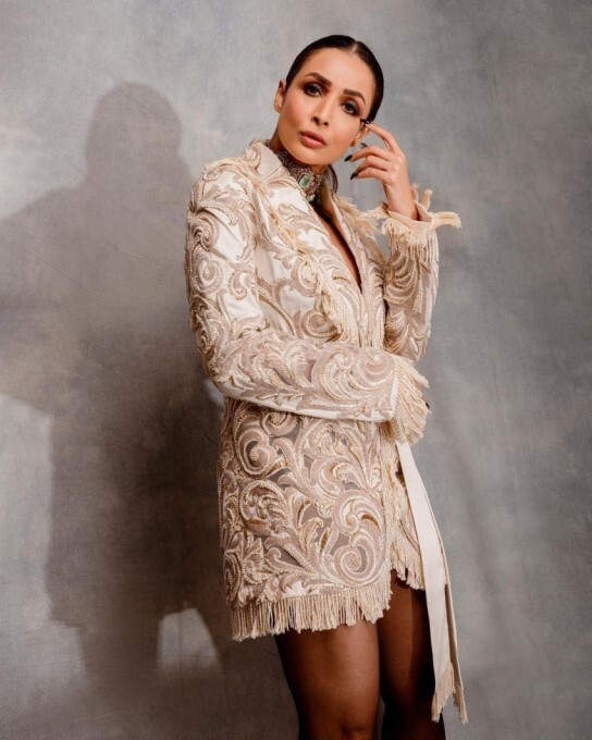 Check Out Actress Malaika Arora Latest Photoshoot Photos: HD Images ...