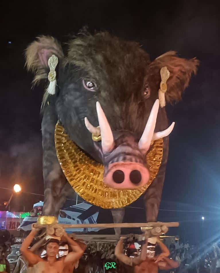 ಕಾರವಾರದ ದಿಂಡಿ ಉತ್ಸವದಲ್ಲಿ ಗಮನ ಸೆಳೆದ 'ಕಾಂತಾರ'ದ ಪಂಜುರ್ಲಿ ದೈವ | Panjurli ...