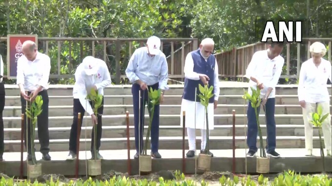 PM Modi Along With Other G20 Leaders Visits Mangroves Forest In Bali ...
