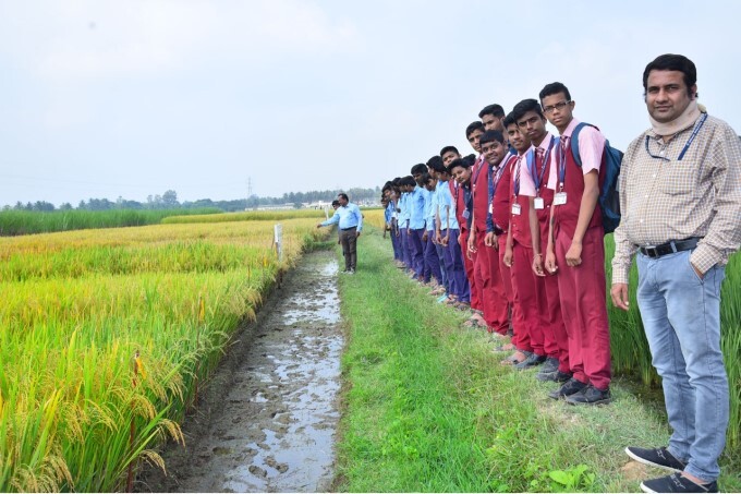 ಮಂಡ್ಯ ಕೃಷಿ ಮೇಳ- 2022: ಗಮನ ಸೆಳೆದ ಭತ್ತದ ಕೃಷಿ, ತಳಿಗಳು | Mandya Krishi Mela ...