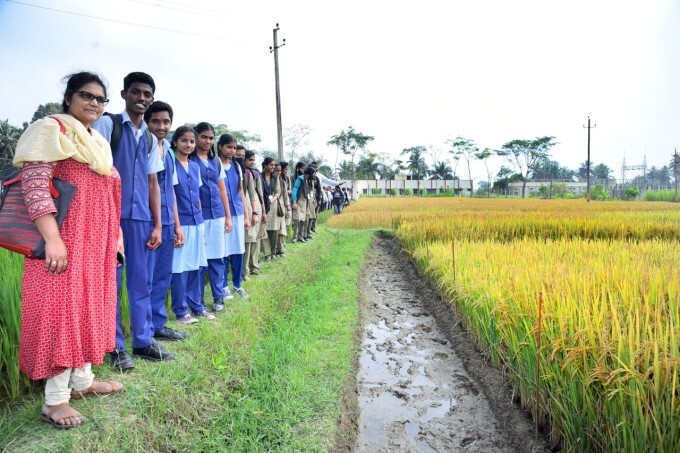 ಮಂಡ್ಯ ಕೃಷಿ ಮೇಳ- 2022: ಗಮನ ಸೆಳೆದ ಭತ್ತದ ಕೃಷಿ, ತಳಿಗಳು | Mandya Krishi Mela ...