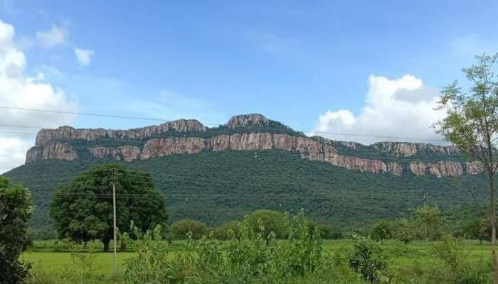 शिशुपाल पर्वत है छत्तीसगढ़ की शान, मन मोह लेता है इसका कुदरती सौंदर्य ...