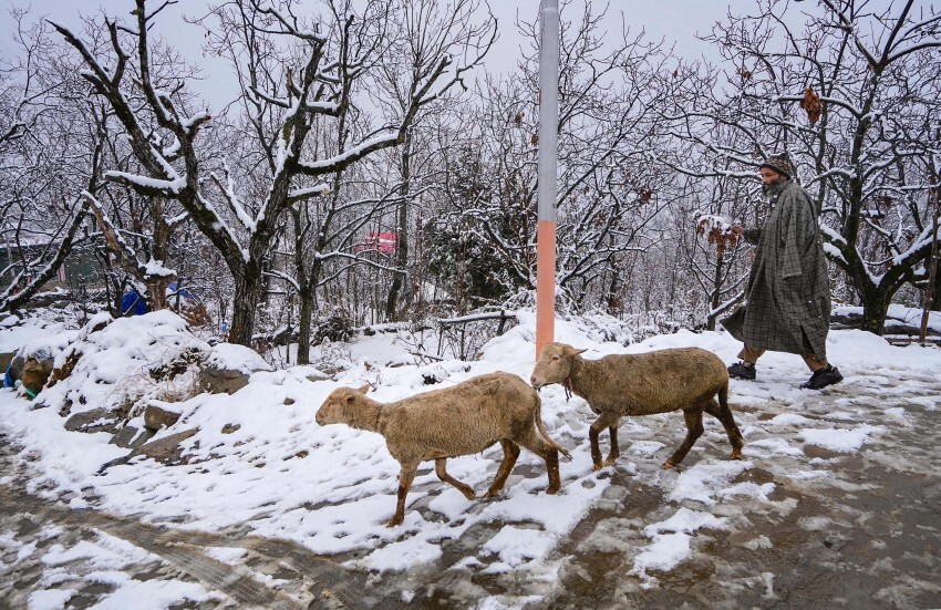 Fresh Snowfall In Srinagar In India 2023; See Photos Photos: HD Images ...