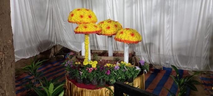 ಕೊಪ್ಪಳ ಗವಿಸಿದ್ದೇಶ್ವರ ಜಾತ್ರೆ 2023, ಫಲಪುಷ್ಪ ಪ್ರದರ್ಶನ | Gavi Siddeshwara ...