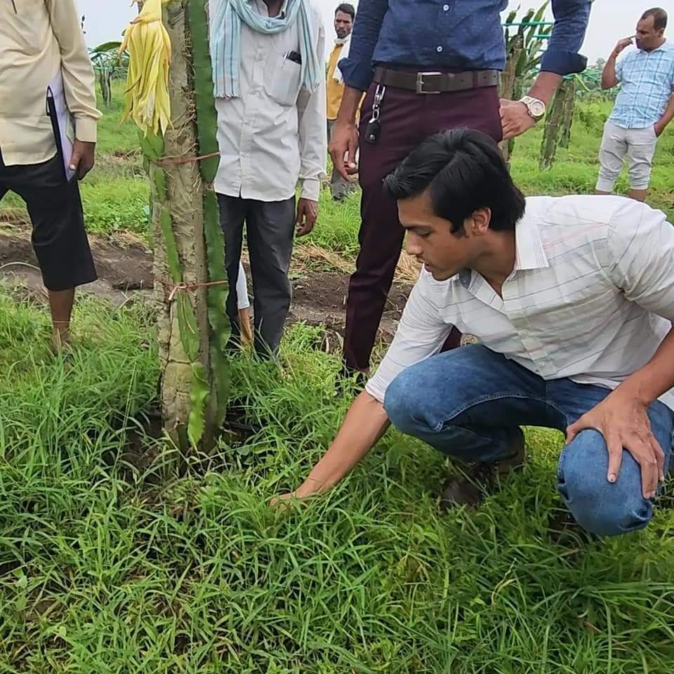 ब्रिटेन से पढ़कर आए हर्षित गोदा ने खेती में किया कमाल, ड्रैगन फ्रूट की ...