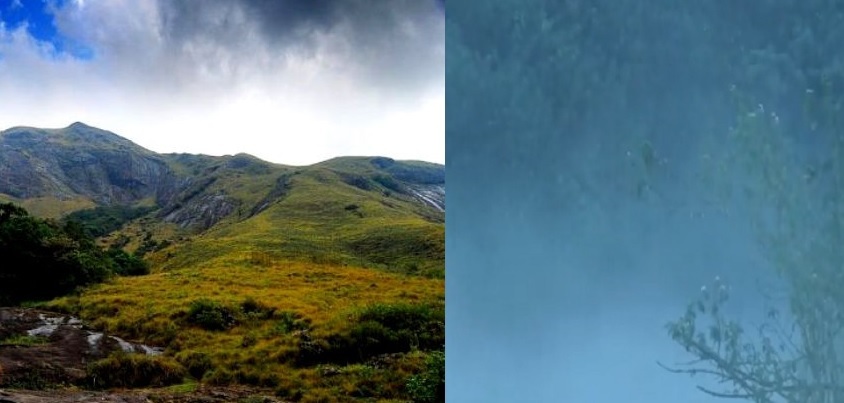 Munnar Weather Pictures: कोहरे के आगोश में केरल का स्वर्ग 'मुन्नार ...