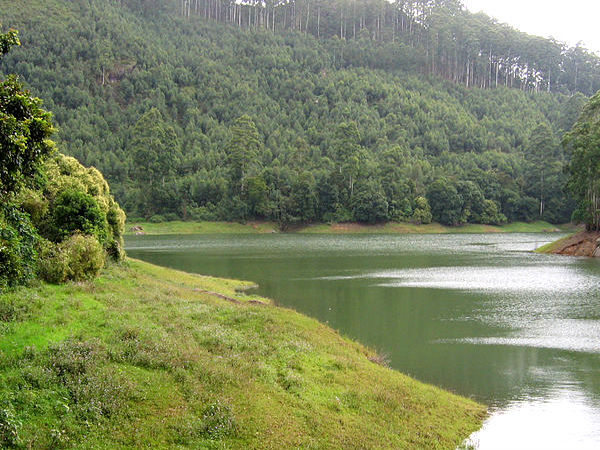 Munnar Weather Pictures: कोहरे के आगोश में केरल का स्वर्ग 'मुन्नार ...