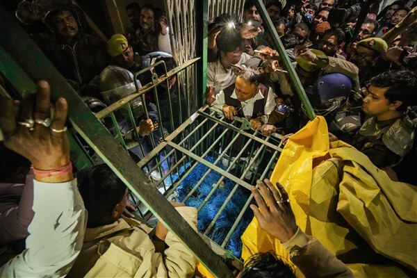 Forest Department Captured Leopard In Cage Which Entered The Premises ...
