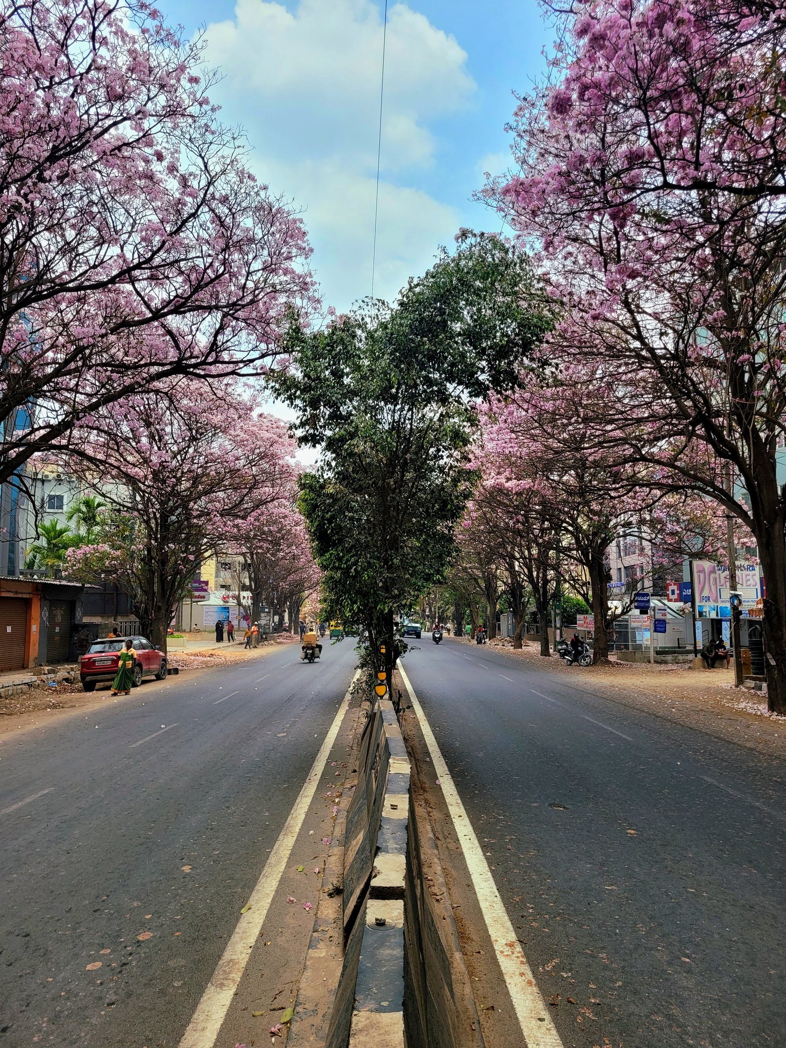 ಉದ್ಯಾನನಗರಿಯನ್ನು ಪಿಂಕ್ ಸಿಟಿ ಮಾಡಿದ ಟಬಿಬಿಯಾ ಸೌಂದರ್ಯ ಸವಿಯಿರಿ | Bengaluru ...