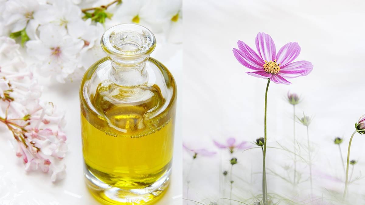 Perfume- Try These in your home To Make Perfume,its easy | Perfume ...