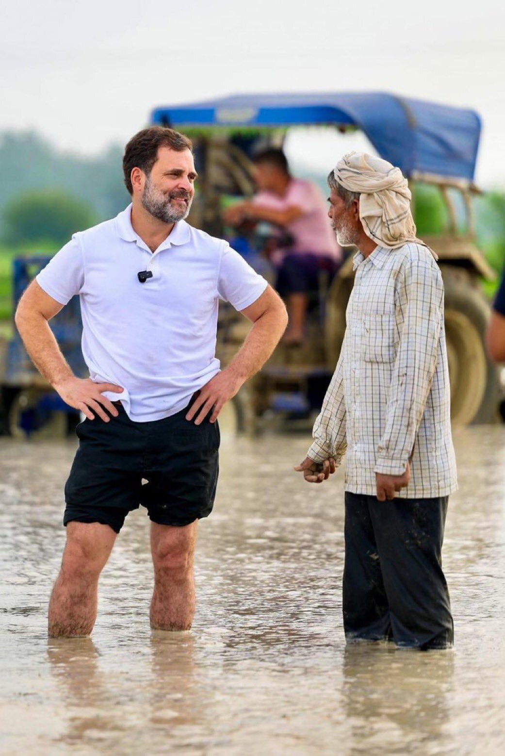 Congress Leader Rahul Gandhi Steps Into Paddy Fields And Helps The ...
