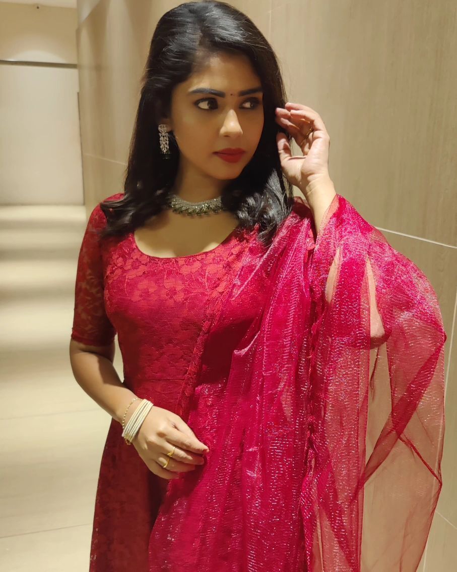 PHOTOS: புது வீடு கட்டிய பாண்டியன் ஸ்டோர்ஸ் மீனா.. எவ்வளவு பிரமாண்டம் ...