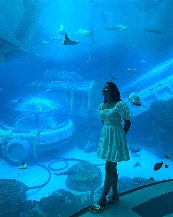 PHOTOS: 'லவ் டுடே' பட நாயகியா இது! கலர்புல் உடையில் மனம் கவர்ந்த ...