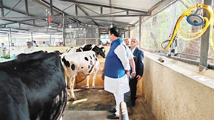 ಜಮಖಂಡಿಯ ಪ್ರಗತಿ ಪರ ರೈತ ಮಹಾದೇವ ತೋಟಕ್ಕೆ ಕೃಷಿ ಸಚಿವರ ಭೇಟಿ | N ...