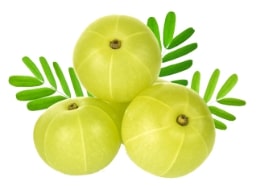 Amla Rate Today (11th Aug 2023), Amla Market Price in India - Oneindia