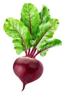 Beetroot Rate in Erode: Beetroot Price in Erode Today Per Kg (27th Jun ...