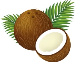 Coconut Rate Today (20th Mar 2024), Coconut Market Price in India ...