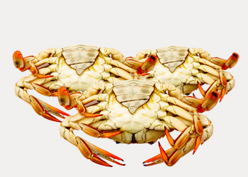 Fish Rate Today (25th Dec 2025): Fish Price List | Fish Cost Per Kg in ...