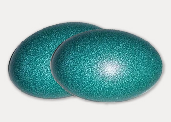 Egg Rate: Rate of Eggs Today (15th Jan 2026), Egg Price in India Daily ...