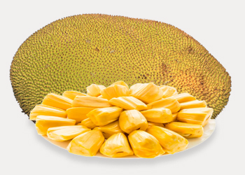 Jackfruit Rate Today (1st Oct 2024), Jackfruit Market Price in India - Oneindia