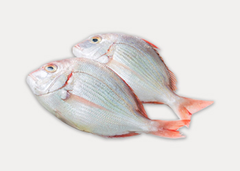 Fish Rate Today (28th Dec 2025): Fish Price List | Fish Cost Per Kg in ...