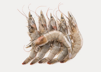 Fish Rate Today (21st Dec 2025): Fish Price List | Fish Cost Per Kg in ...