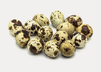 Egg Rate: Rate of Eggs Today (22nd Jan 2026), Egg Price in India Daily ...