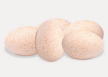 Egg Rate: Rate of Eggs Today (22nd Jan 2026), Egg Price in India Daily ...